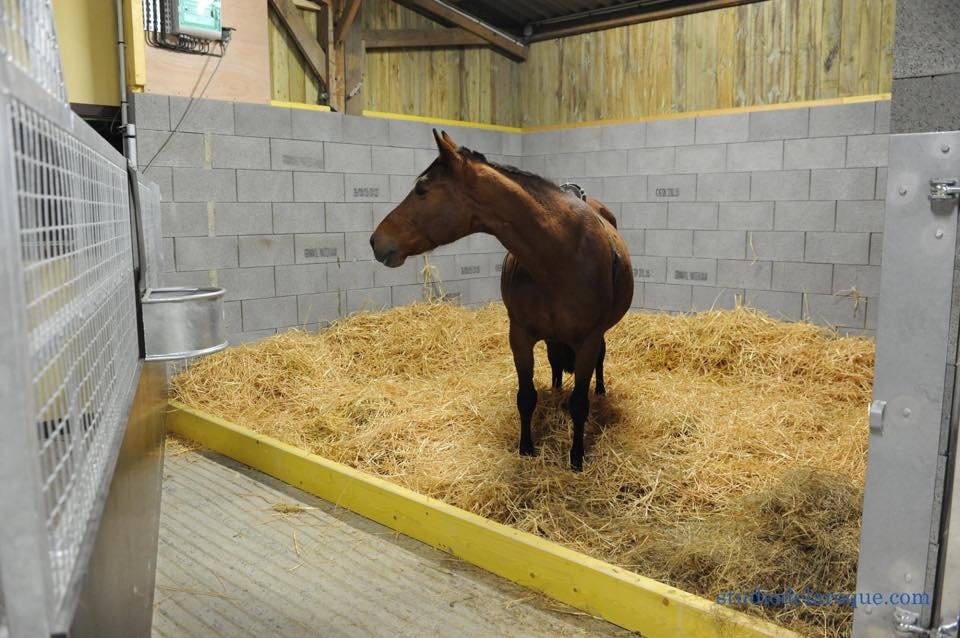 Fiche établissement HARAS DE VAINS - France sire