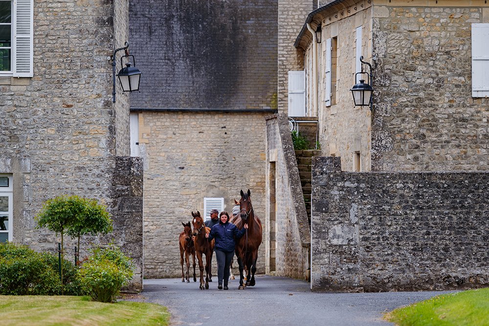 Fiche établissement HARAS D' ETREHAM - France sire